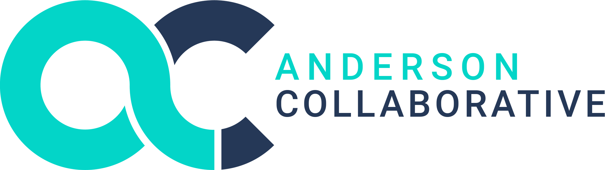Digital Marketing Capabilities | Anderson Collaborative